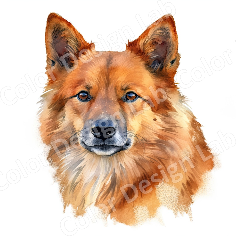 Finnish Spitz Clipart Hand-drawn Breed Design Loyal Dog - Etsy