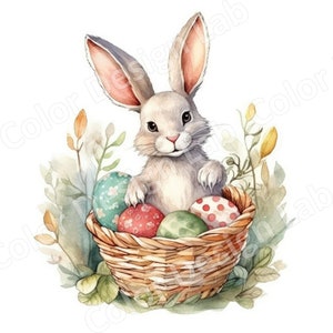 Easter Bunny Basket Clipart Set, 8 High-resolution Pngs, Commercial Use ...