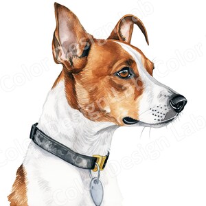 Inquisitive Basenji Printable Clipart Set, 8 High-resolution Dog Images ...