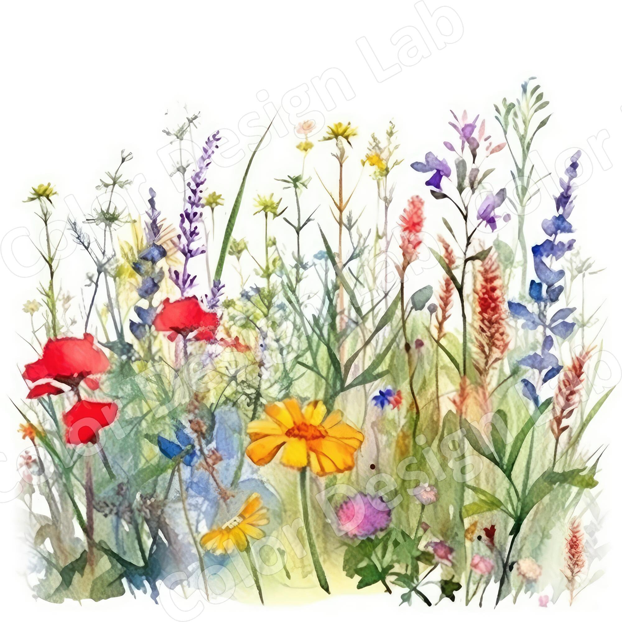 Wildflower Meadow Printable Wall Art Bundle 8 High-resolution - Etsy