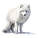 Happy Arctic Fox Clipart Set of 8 Printable Art PNG, Digital Download ...