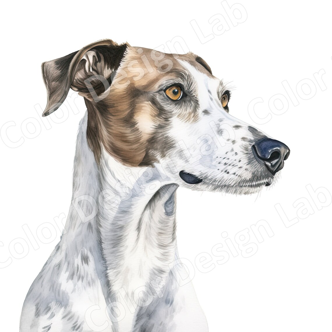 Whippet Clipart Design, Hand-drawn Sighthound Art, Sleek and Athletic ...