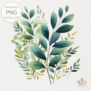 Cut Greens Clipart, Lush and Detailed Transparent Green Plants PNG ...