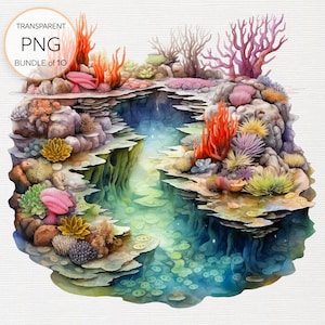 Set of 10 Watercolor Tidepools Clipart Pngs for Coastal Card Making and ...