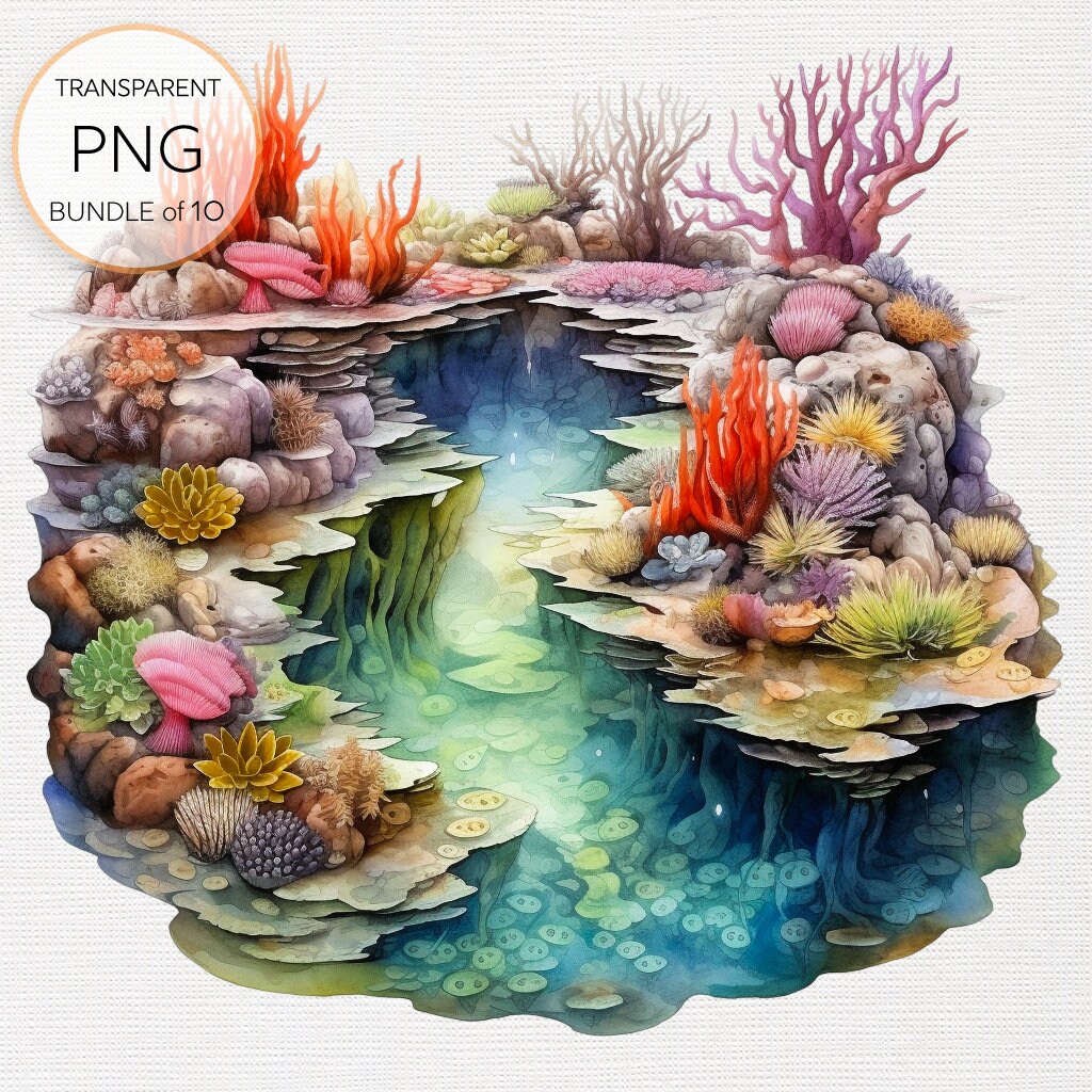 Set of 10 Watercolor Tidepools Clipart Pngs for Coastal Card - Etsy