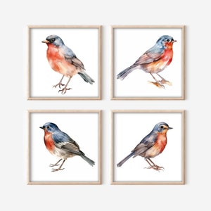 Christmas Robin Printable Clipart Set, 8 High-resolution Pngs of Robins ...
