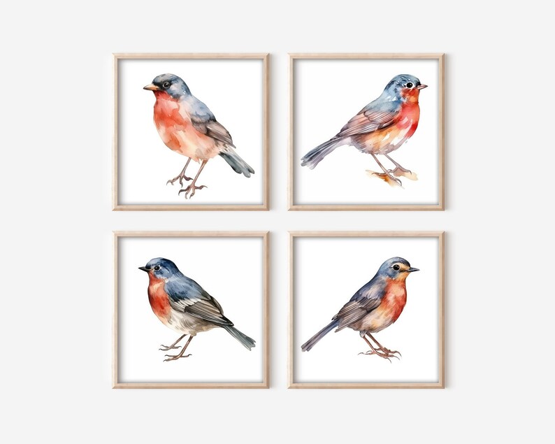 Christmas Robin Printable Clipart Set, 8 High-resolution Pngs of Robins ...