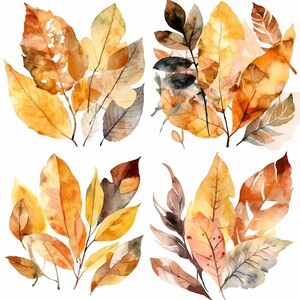 Amber Autumn Leaves Clipart - 8 Printable Autumn Leaves PNG, High ...