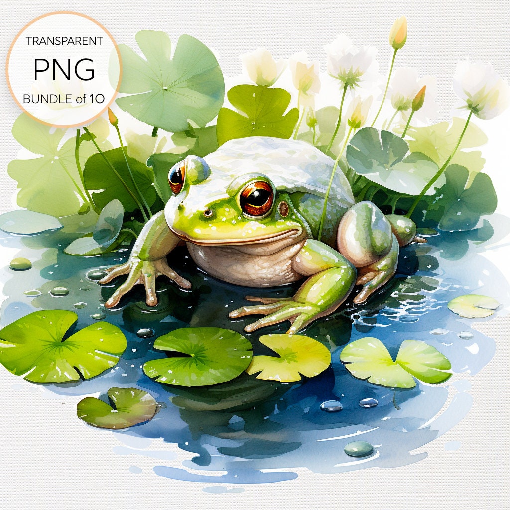Frog on Lily Pad Clipart Adorable Amphibian Illustration - Etsy