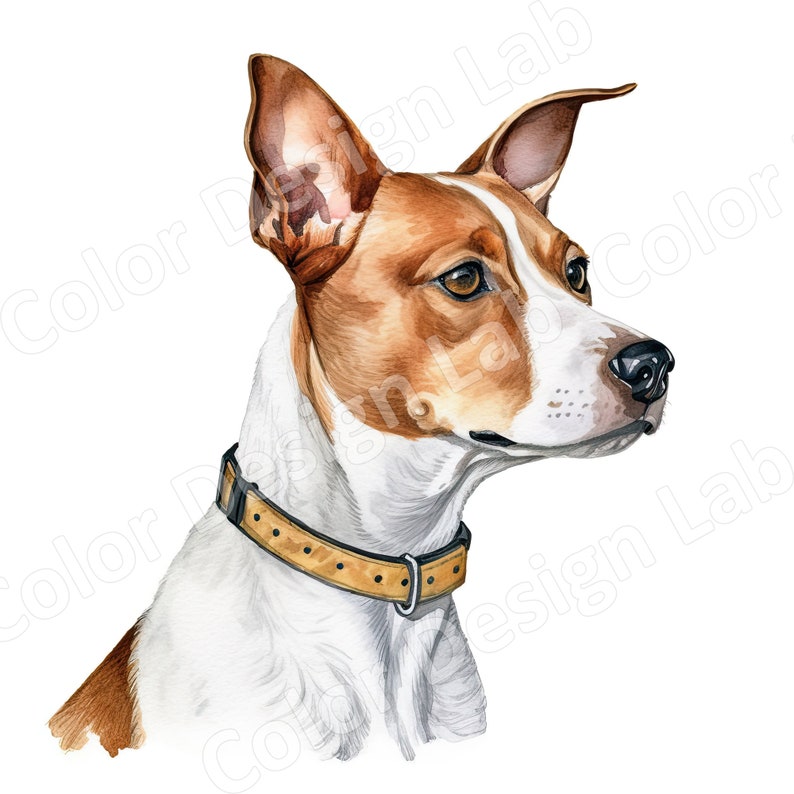 Inquisitive Basenji Printable Clipart Set 8 High-resolution - Etsy