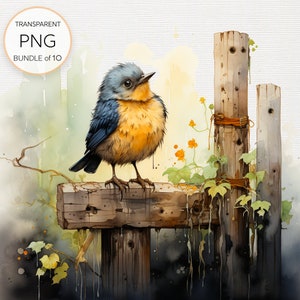 Cute Bird on Fence Post Watercolor Clipart - Adorable Avian ...