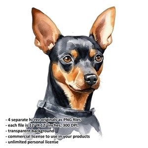 Miniature Pinscher Clipart, Hand-drawn King of Toys Art, Energetic and ...