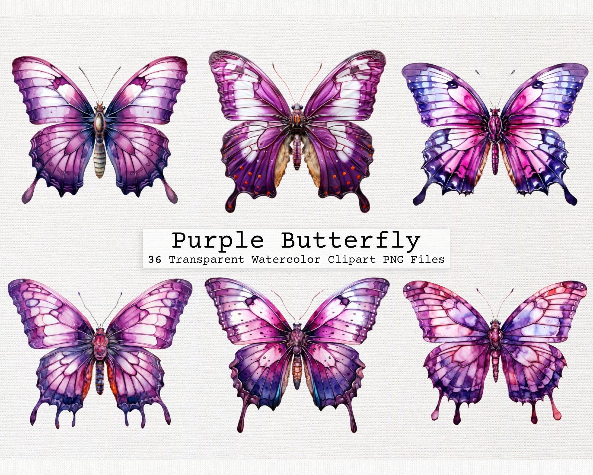 Purple Butterfly Clipart Set 36 Quality Watercolor - Etsy