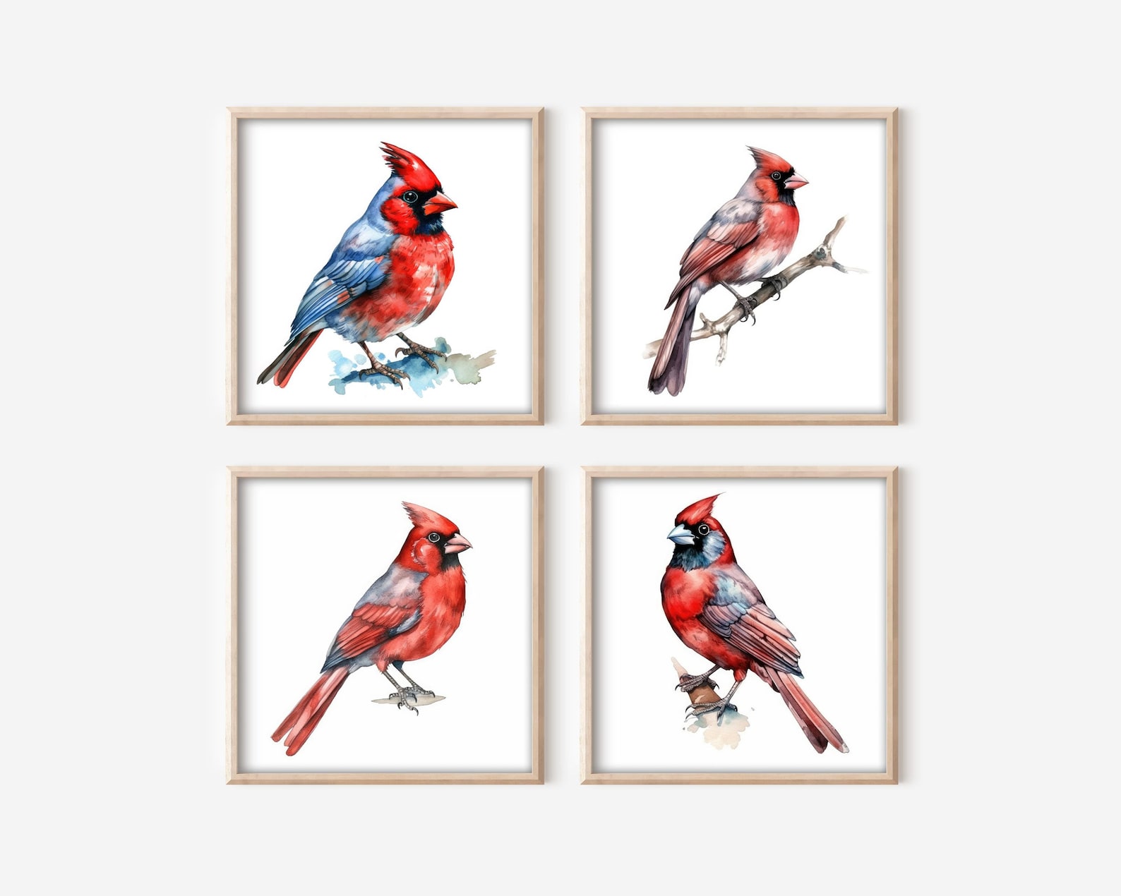 Red Cardinal Printable Clipart Set, 8 High-resolution Pngs of the Bird ...