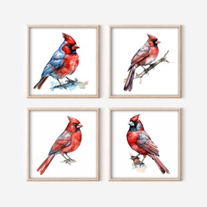 Red Cardinal Printable Clipart Set, 8 High-resolution Pngs of the Bird ...