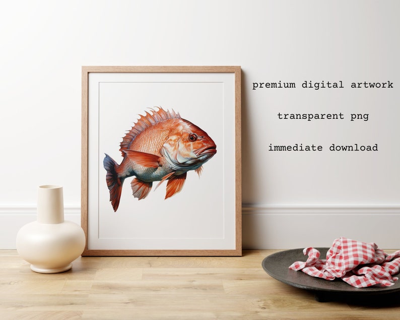 Watercolor Snapper Fish Clipart Bundle: 36 PNG Files (digital Download ...