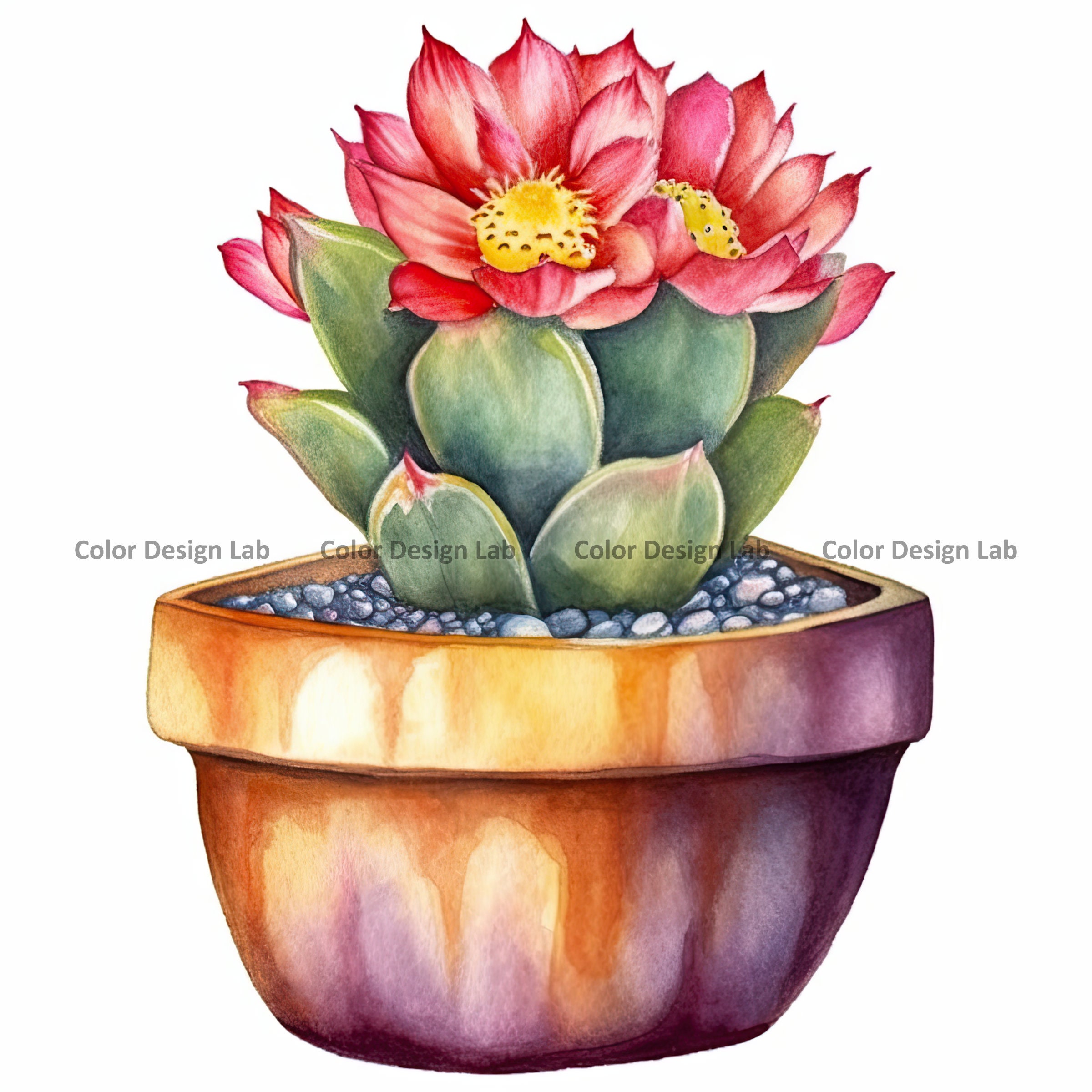 Cactus With Flower Clipart Set of 12 PNG Digital Download - Etsy