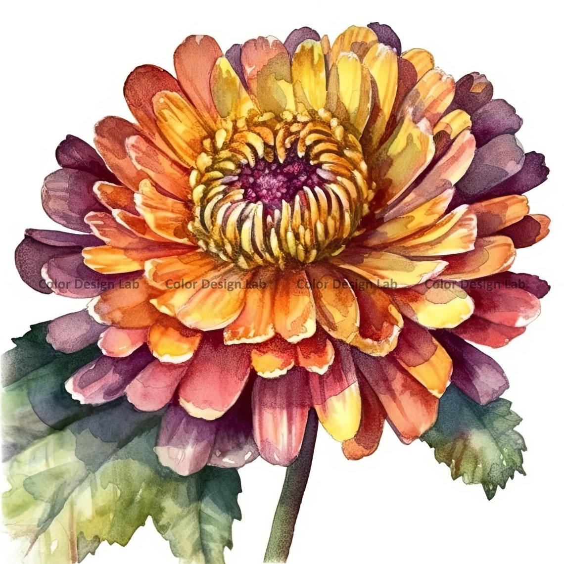 Mum Flower Clipart Set of 12 High-quality Chrysanthemum - Etsy