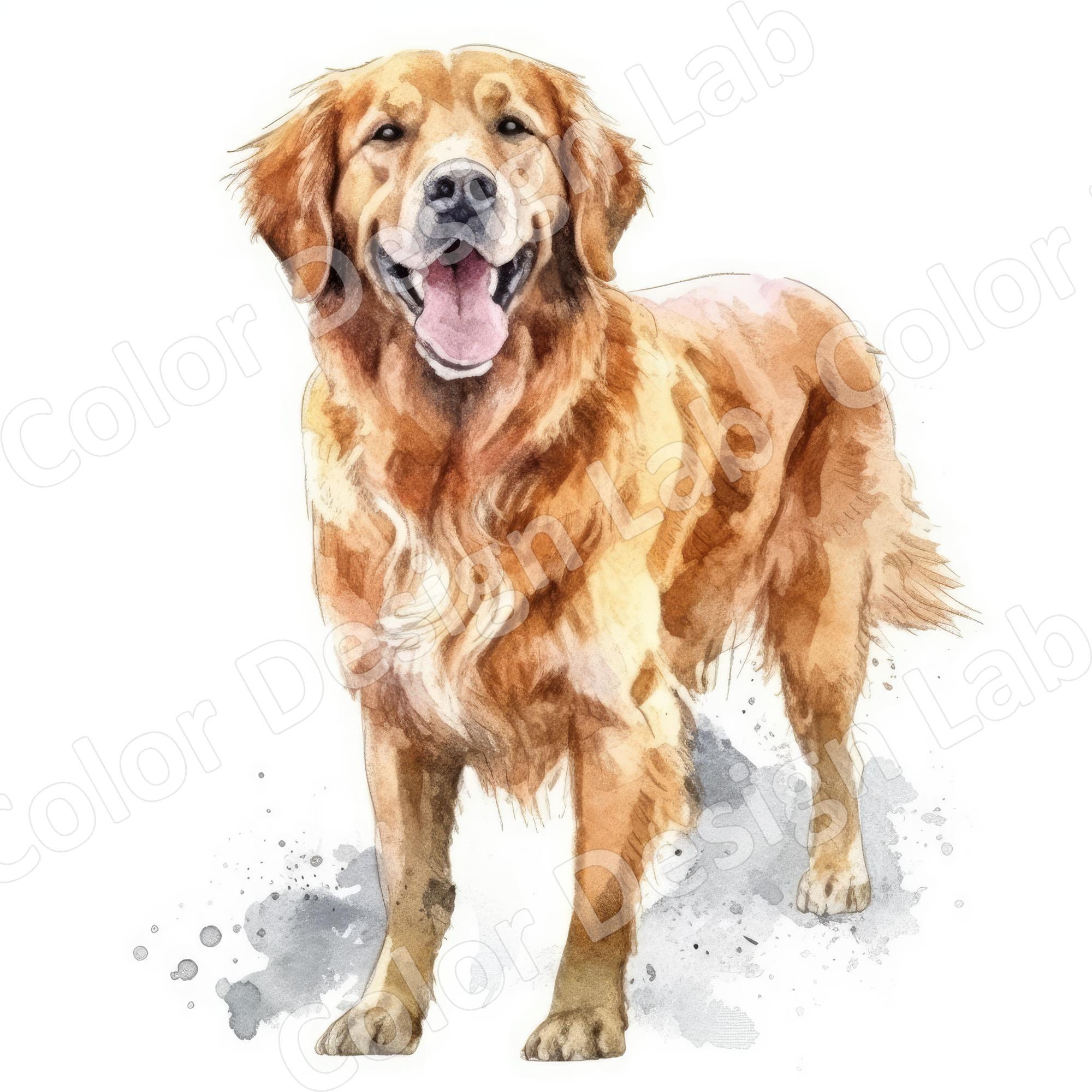 Golden Retriever Clipart Set of 8 Pngs Digital Download - Etsy
