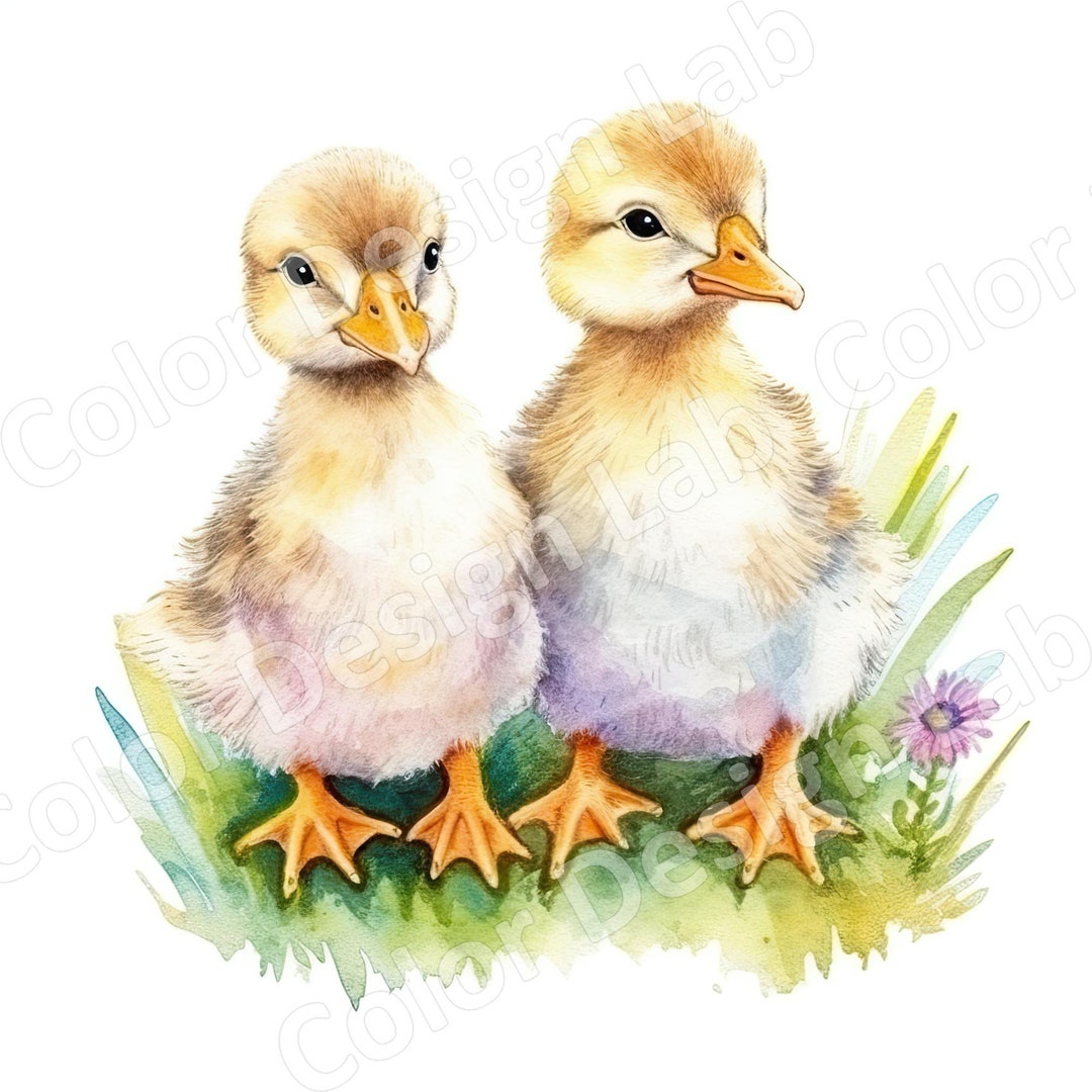 Fluffy Ducklings Printable Clipart Set, 8 High-resolution Pngs, Instant ...