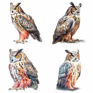 Great Horned Owl Clip Art - Set of 8 Printable PNG, Commercial Use ...