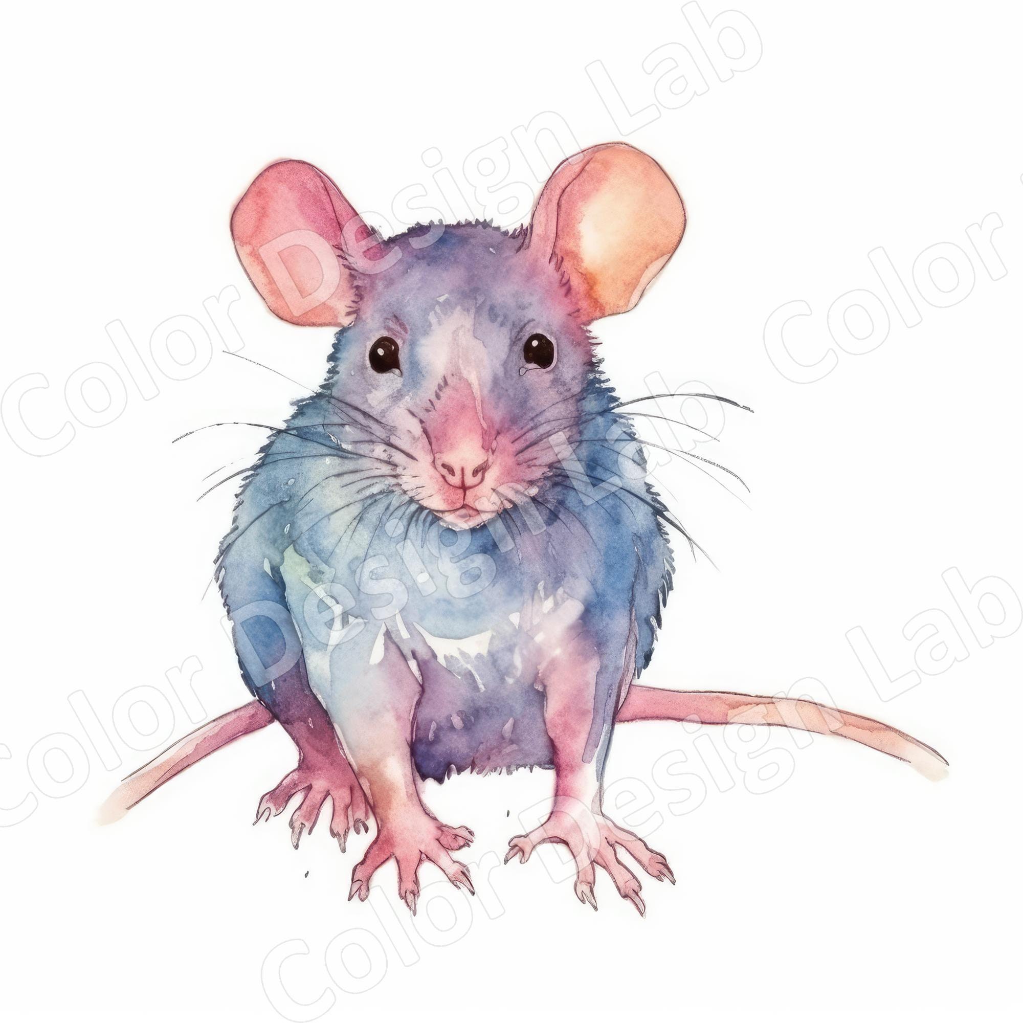 Cute Rat Clipart 8 High Quality PNG Artwork Digital - Etsy