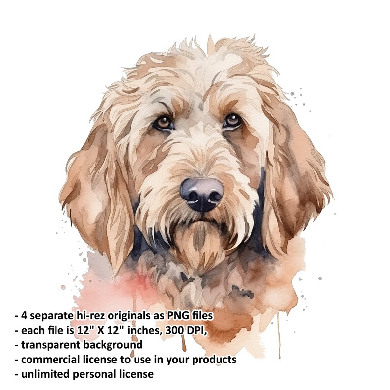 Labradoodle Watercolor Clipart Hand-painted Poodle Mix Curly - Etsy