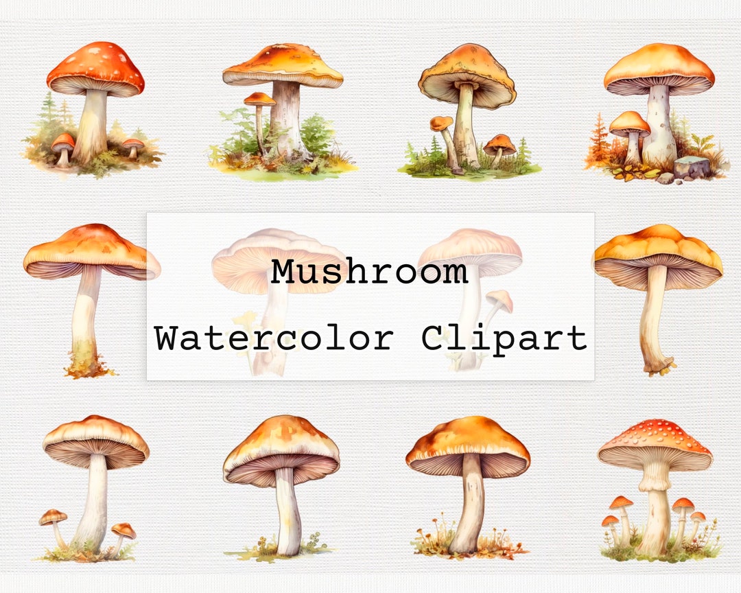Mushroom Clipart Watercolor PNG White Button Mushroom Commercial ...