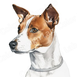 Inquisitive Basenji Printable Clipart Set, 8 High-resolution Dog Images ...