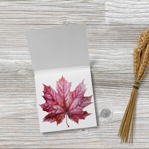 Maple Leaf Clipart Bundle of 36 Quality Transparent Watercolor Png ...
