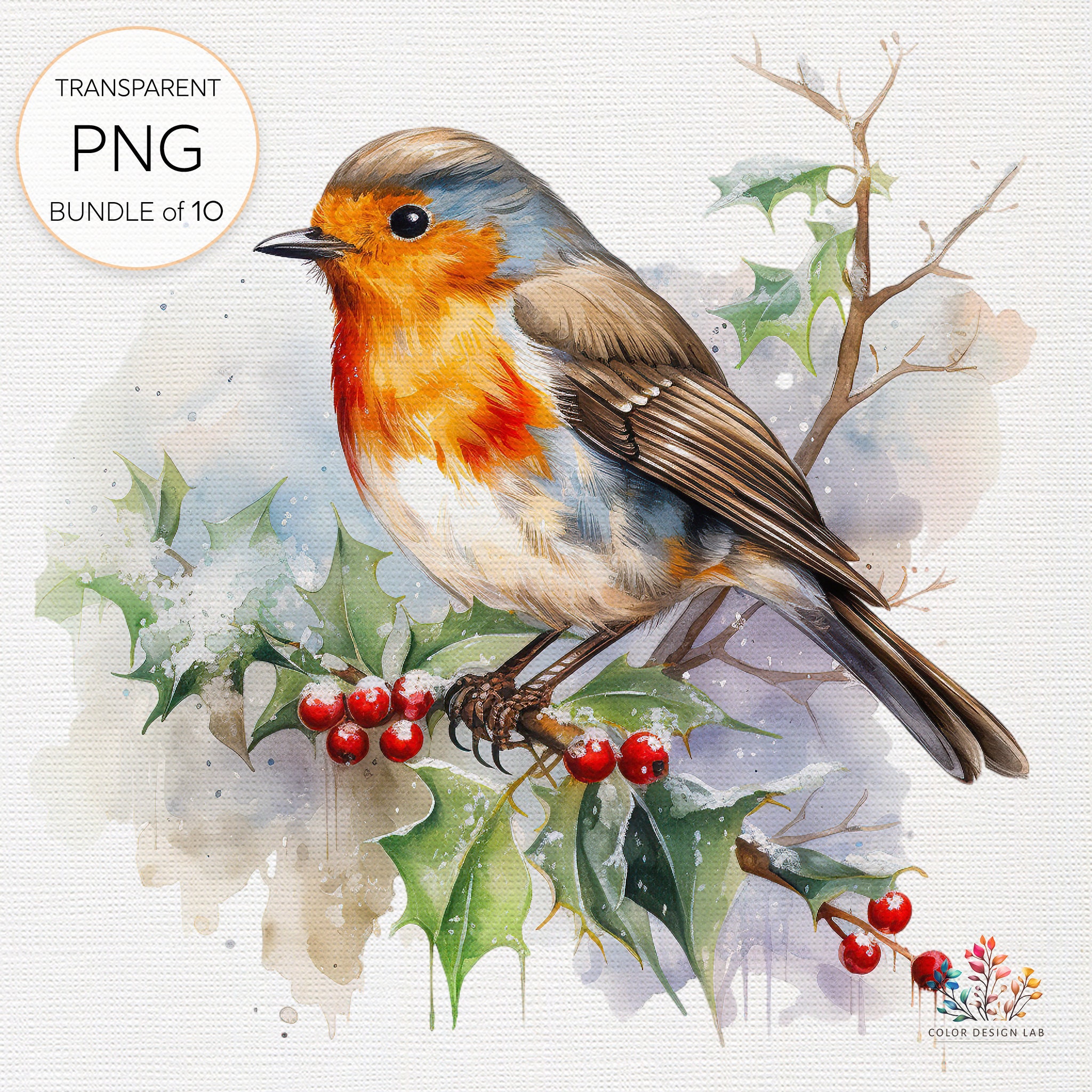 Christmas Robin Clipart: Winter Holiday Charm Vibrant Red-breasted ...
