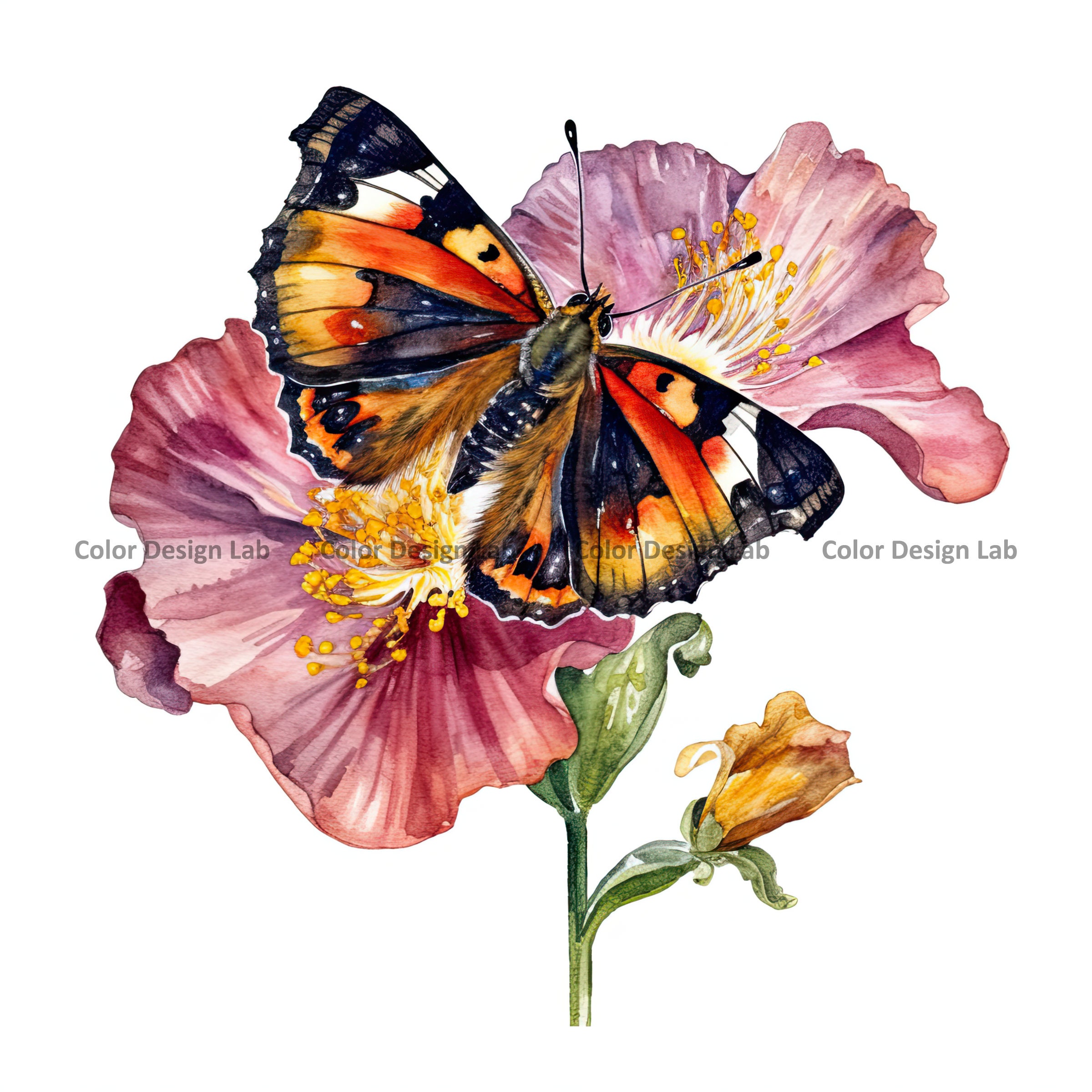 Flower and Butterfly Clipart Set of 12 High-quality Floral - Etsy