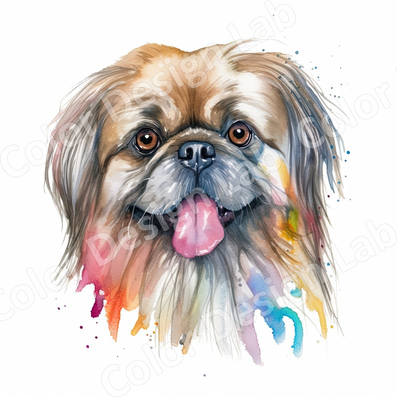 Sweet Pekingese Clipart Set of 8 High-resolution Pekingese - Etsy