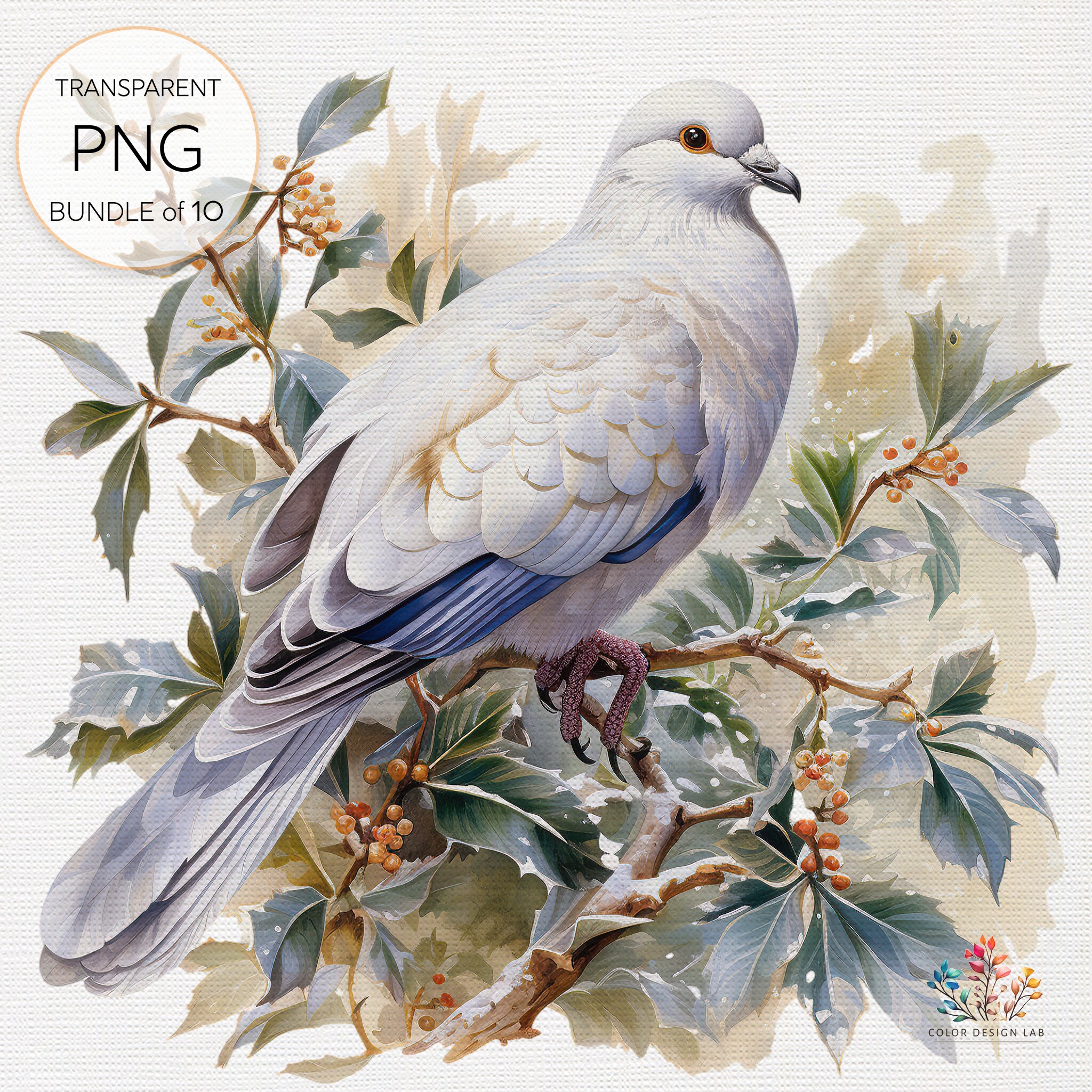 Christmas Dove Clipart, Beautiful Dove of Peace, Watercolor Christmas ...