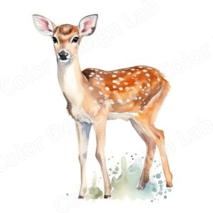 Fawn Clipart Design, Hand-drawn Baby Deer Art, Delicate and Graceful ...