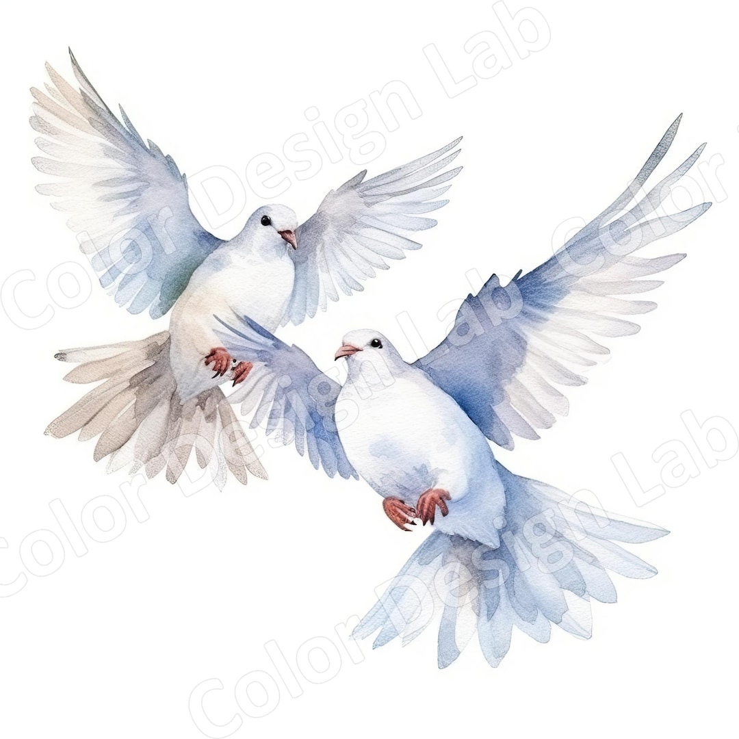Doves in Flight Printable Clipart Set, 8 High-resolution PNG Images ...