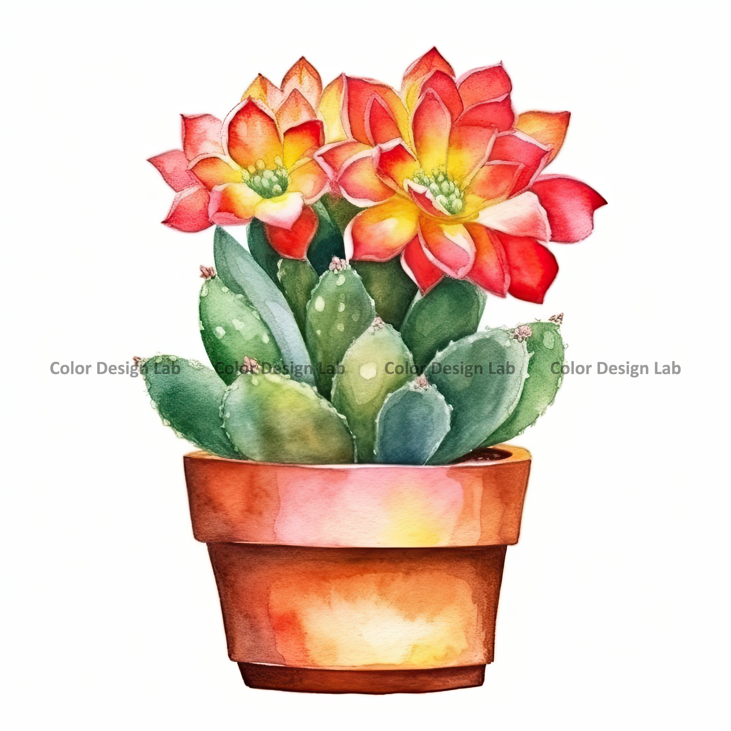 Cactus With Flower Clipart Set of 12 PNG Digital Download - Etsy