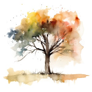 Solitary Tree Printable Clipart - Set of 8 High-quality Tree PNG ...