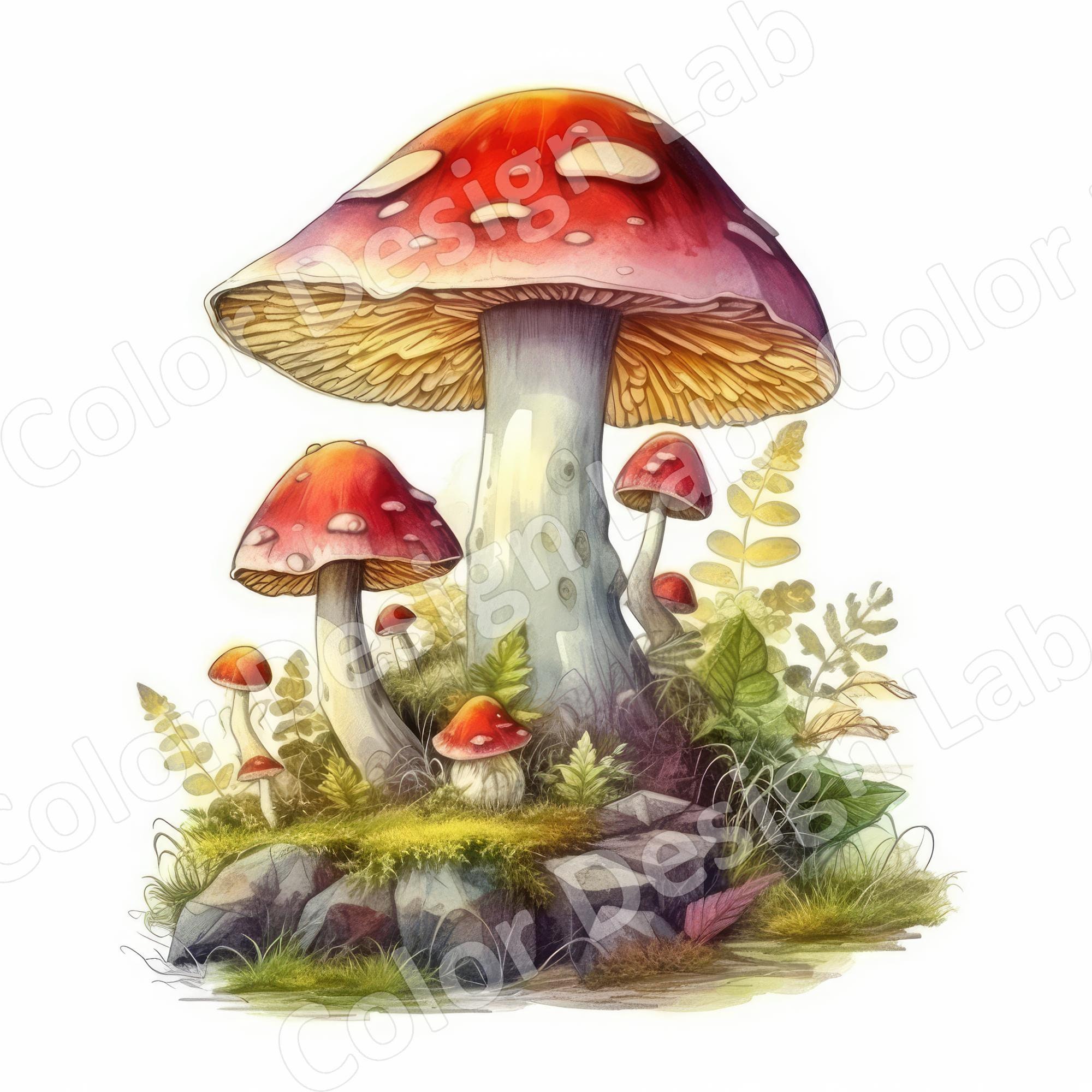 Forest Mushroom Clipart Set of 8 High-resolution PNG Art - Etsy