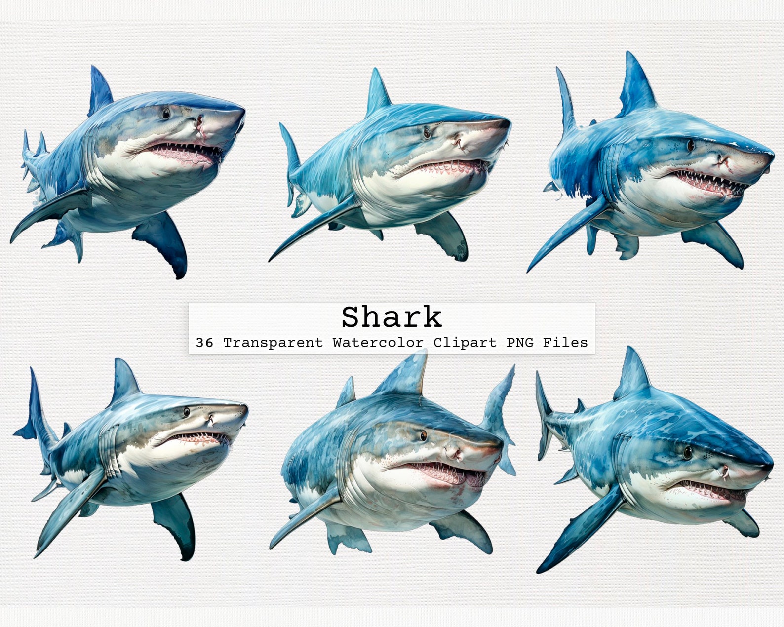 Shark Clipart Bundle 36 High Quality Transparent Watercolor - Etsy