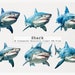 Shark Clipart Bundle - 36 High Quality Transparent Watercolor Png ...