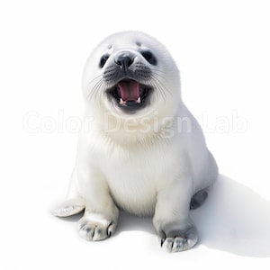 Happy Harp Seal Pup Printable Art - Set of 8 PNG, Commercial Use ...