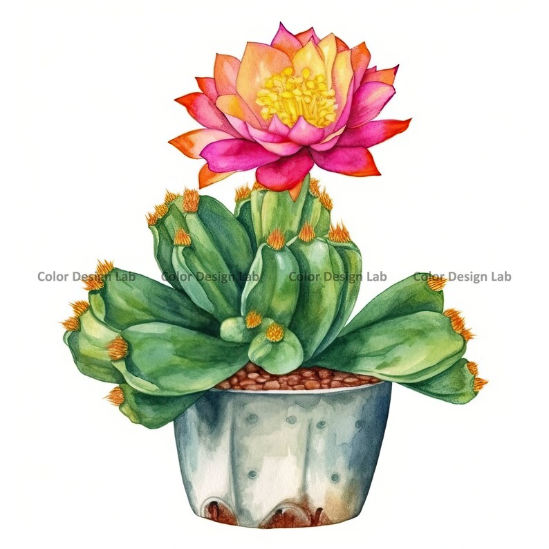 Cactus With Flower Clipart Set of 12 PNG Digital Download - Etsy
