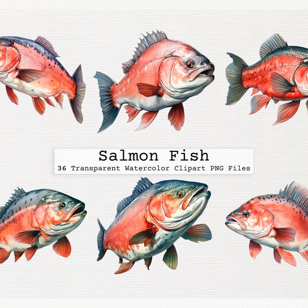 Salmon Fish Clipart - Etsy