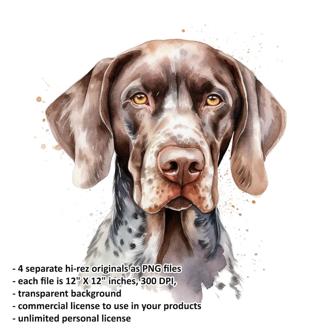 German Shorthaired Pointer Watercolor Art Print, Dog Portrait, Digital ...