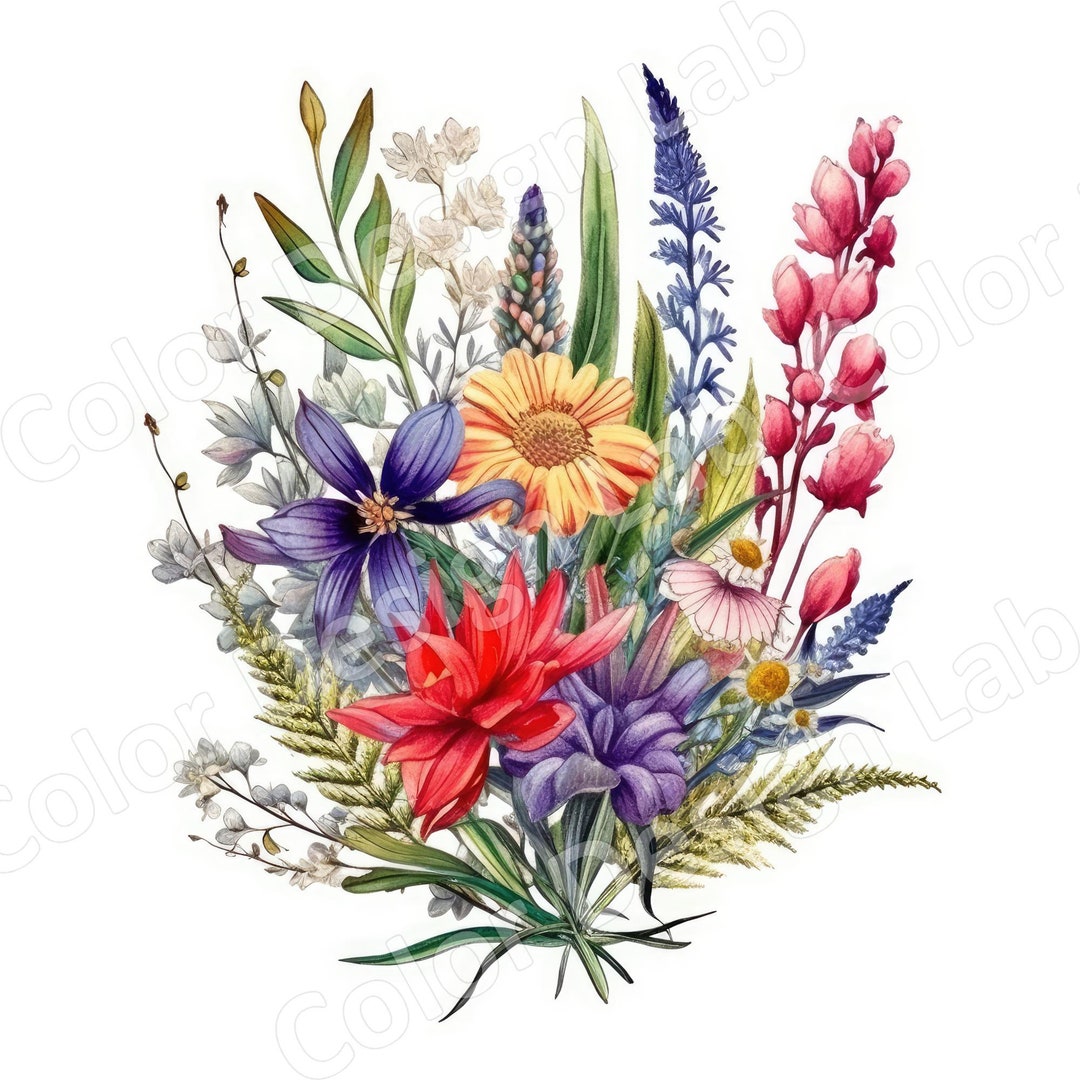 Wildflower Sketch Printable Clipart, 8 High-resolution PNG Art Images ...