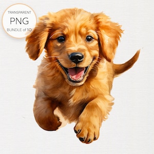 Golden Retriever Puppy Clipart - Set of 10, High-resolution PNG ...