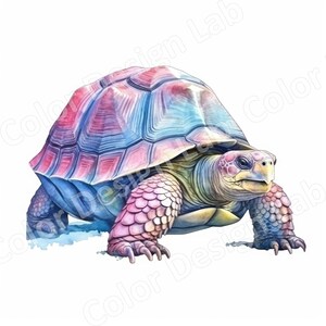 Tortoise Printable Clipart, Set of 8 High-resolution Tortoise Pngs ...