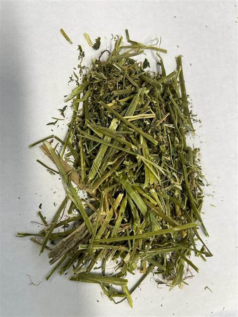 Organic Chirayata, Swertia Chirata, Chiretta, Chirayta Powder, Kal Megh ...