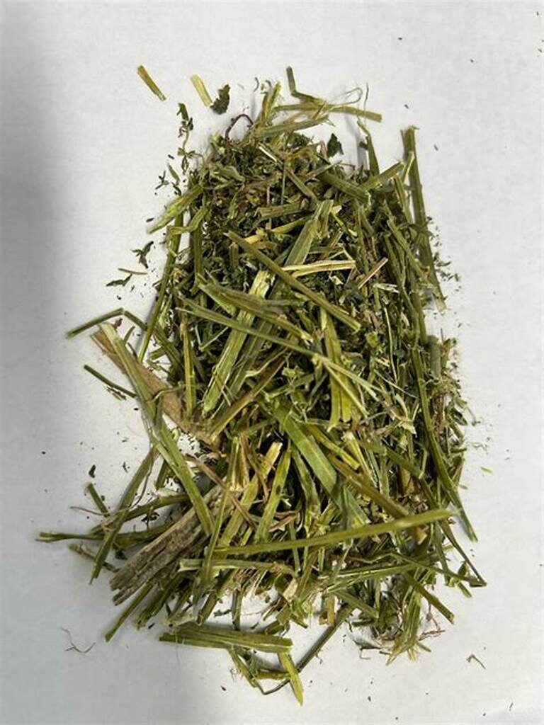 Organic Chirayata, Swertia Chirata, Chiretta, Chirayta Powder, Kal Megh ...